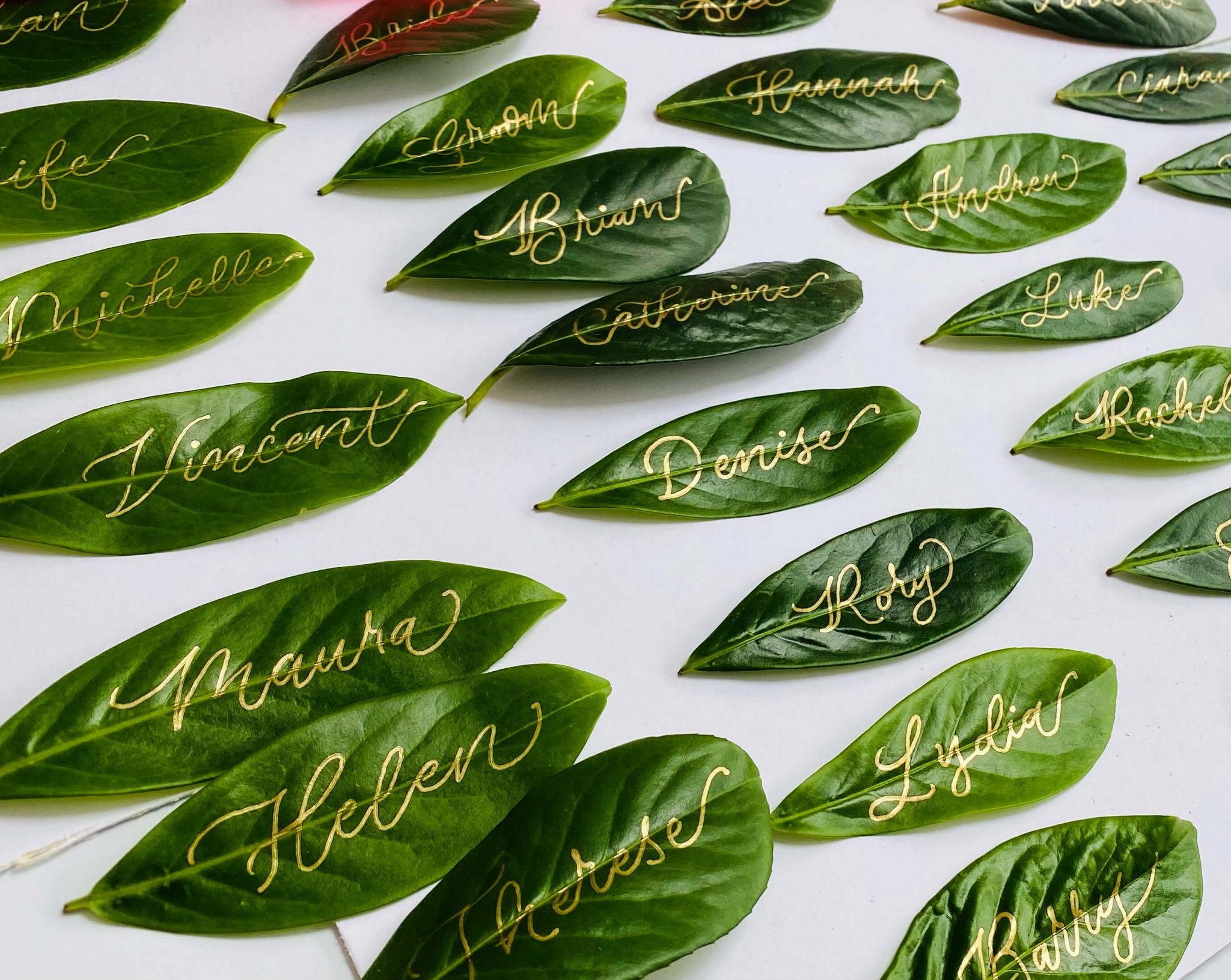 Wedding Calligraphy - Liz Holdsworth Calligraphy | Ireland